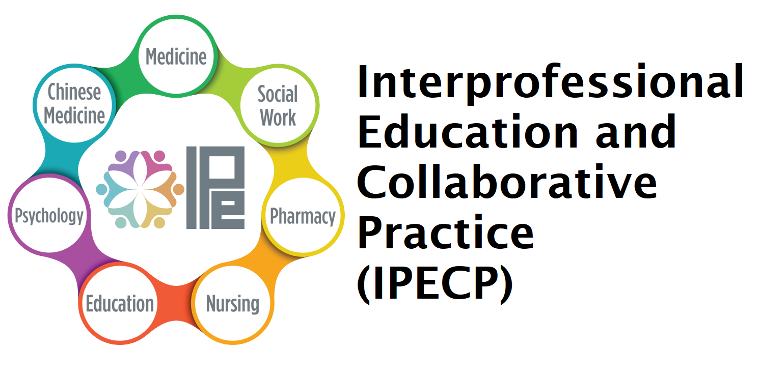 New Experiential Learning Opportunity – First Touch with IPECP – HKU ...